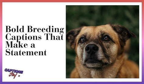 Breeding Captions 100 Proven Ideas That Drive Clicks