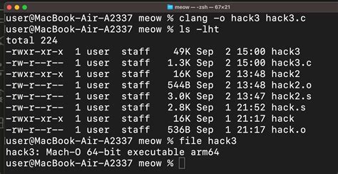 Macos Hacking Part 11 Bind Shell For Arm M1 Simple Assembly M1
