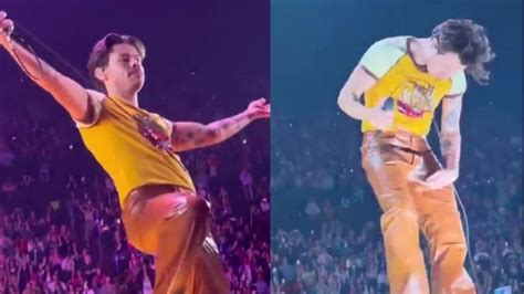 Harry Styles Rompe Sus Pantalones Y Quedó Expuesto Frente A Miles
