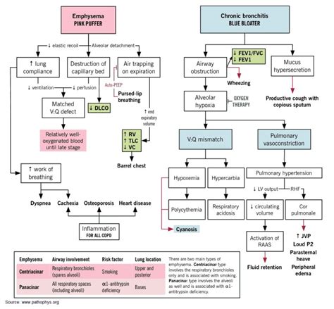 Copd Diagnosis Classification Risk Treatment Management