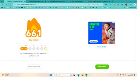 Making Remnote E Flashcards From Duolingo Sentences Practical