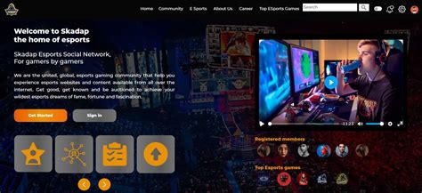 Filly Coder Web And Mobile Development