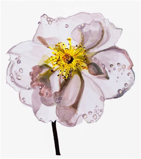 Sharon Core Facsimile Exhibitions Yancey Richardson