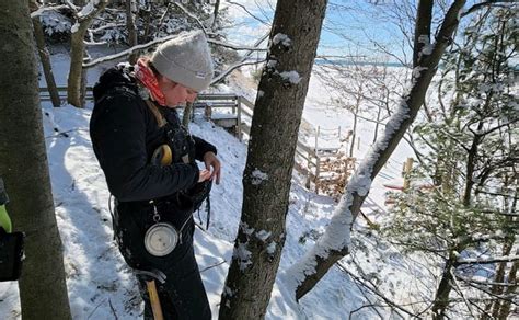 state awards 3 6 million for invasive species projects