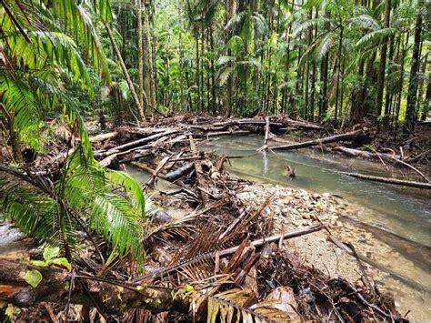 Nature Based Flood Mitigation Observations Centred Around Protestors Falls Day Use Area