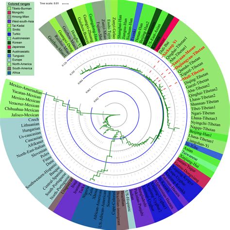 Phylogenetic Relationship Reconstruction Among 100 Worldwide