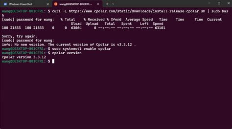 使用docker部署开源分布式任务调度系统dolphinscheduler docker安装dolphinscheduler csdn博客