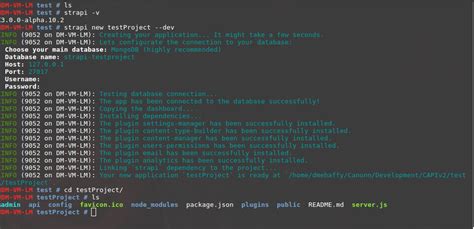 error plugin in development setup · issue 511 · strapi strapi · github