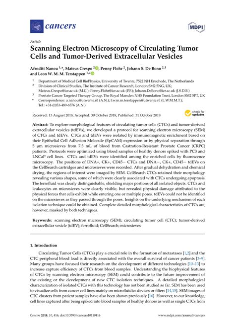 Pdf Scanning Electron Microscopy Of Circulating Tumor Cells And Tumor Derived Extracellular