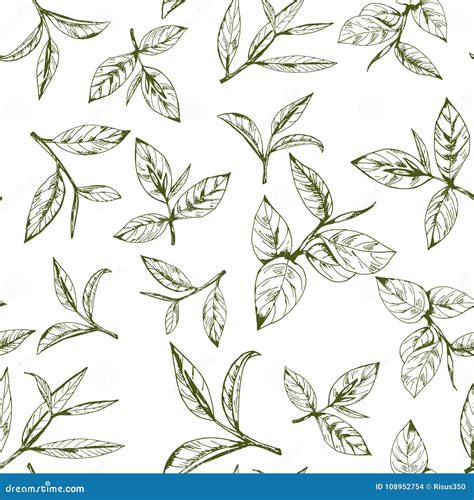 Seamless Pattern With Green Tea Hand Drawn Stock Vector Illustration