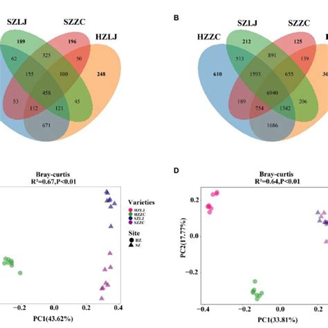 Differences In Rhizosphere Microbial Communities Of Two Tea Varieties Download Scientific