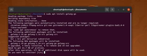 Cómo instalar GoLang lenguaje de programación Go en Linux redessy