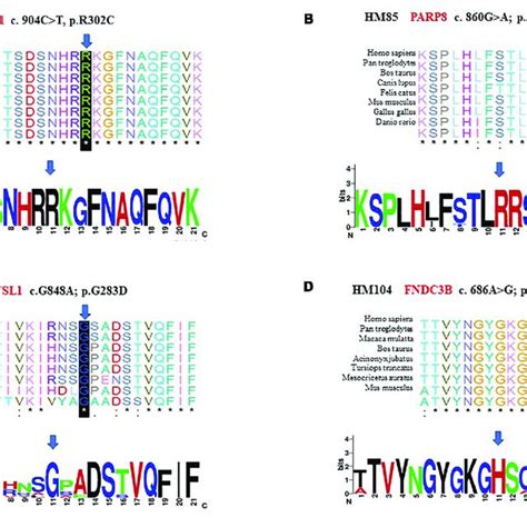 Conservation Analysis Revealed Evolutionary Conservation Of The Download Scientific Diagram