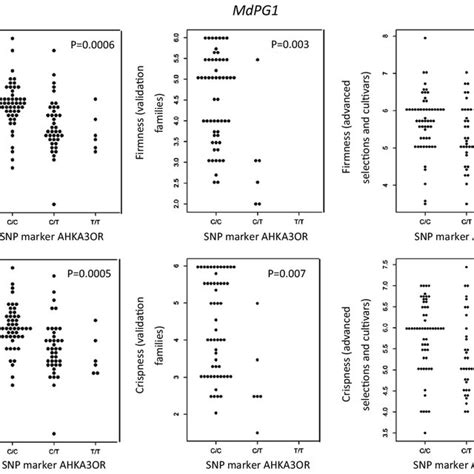 Validation Of Single Nucleotide Polymorphism Snp Markers For Fruit