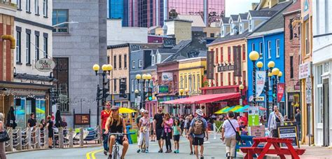 Guided Walking Tour Of St Johns Newfoundland And Labrador Ceetiz