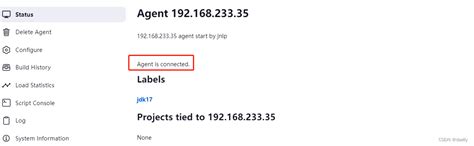 配置jenkins Slave Agent（通过jnlp）方式连接jenkins Agentjnlp Csdn博客