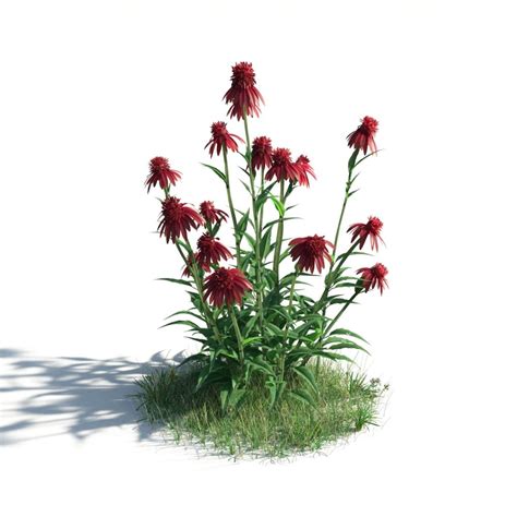 Archmodels Vol 183 3d Model 120 C4d Max Unknown Free3d