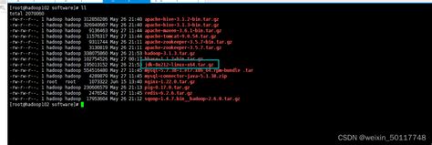 Linux系统中安装jdk、redislinux 安装 Jdk Redis Csdn博客