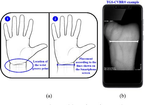Figure 1 From Vein Biometric Recognition On A Smartphone Semantic Scholar