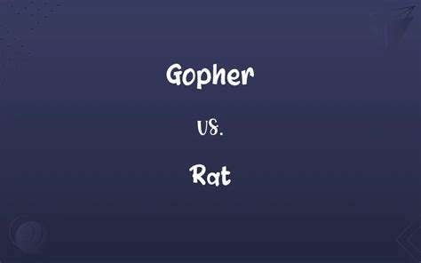 Gopher Vs Rat Know The Difference