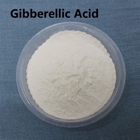 5 Grams Garden Gibberellic Acid Ga3 90 Tc Cas 77 06 5 Etsy