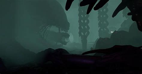 Unofficial 10 Years Of Warframe Community Stream Entry Album On Imgur