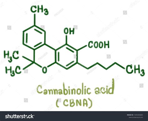 Structure Cannabinolic Acid Cannabinoids Type Cannabis Ilustración De