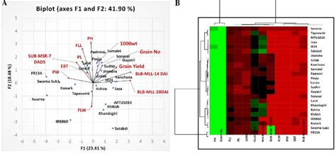 The Phenotypic Analysis Of Genotypes Using Pca And Heat Map A Pca