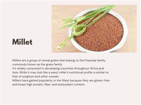 PPT Millet PowerPoint Presentation Free Download ID