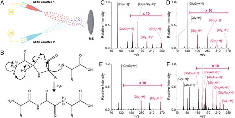 《美国国家科学院院刊》：普渡大学发现地球“生命起源背后的化学” 化石网