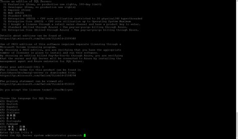 instalação microsoft sql server no linux pense em ti