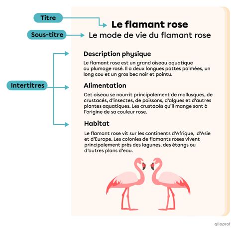 Le Titre Le Sous Titre Et Les Intertitres Primaire Alloprof
