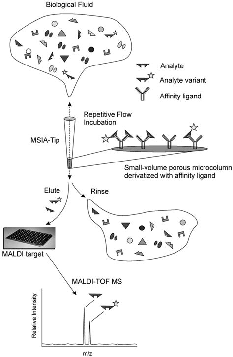 Schematic Of The Msia Process Biological Fluid Is Passed Through The