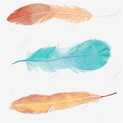 Watercolor Boho Style Blue Orange Feathers Feather Color Multicolor