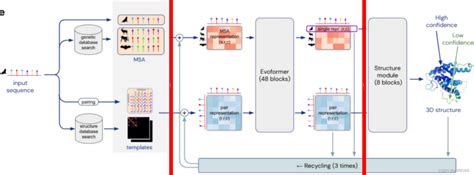 Alphafold2蛋白质结构预测ai工作站配置推荐alphafold2简介与使用 Csdn博客