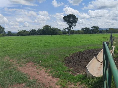 Fazenda Em Crixás Go 388