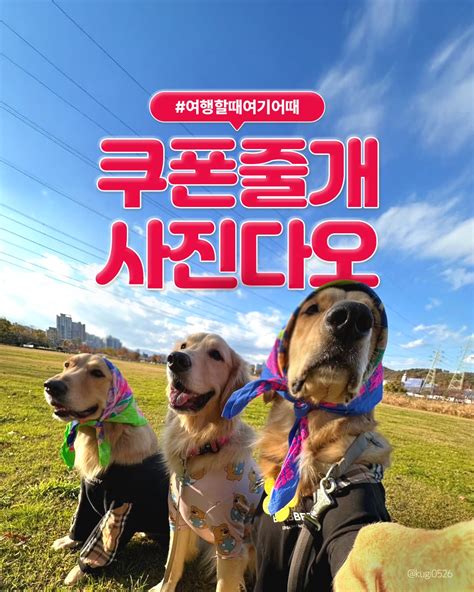 여기어때 공식 인스타그램 여기어때콘서트팩대전 스폰서 안내 ⠀ 콘서트팩 대전 현장에 다채로움을 더해줄 스폰서를 소개합니다