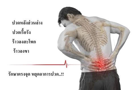 ปวดหลังส่วนล่าง โอวิชัวโกลด์ นมธัญพืช ปกป้องข้อกระดูก