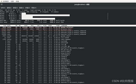 【linux下进程的cpu配置和线程绑定】 linux 指定cpu核心 csdn博客