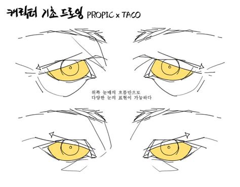 타코작가 On X Tutorial De Anatomía Referencia De Anatomía Cosas De Dibujo
