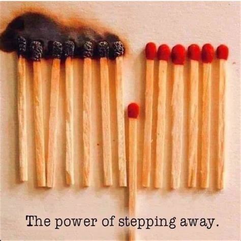 Hanna Lienhart On Linkedin Something That Speaks For Itself