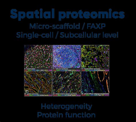 Laboratory For Proteome Complexity Science
