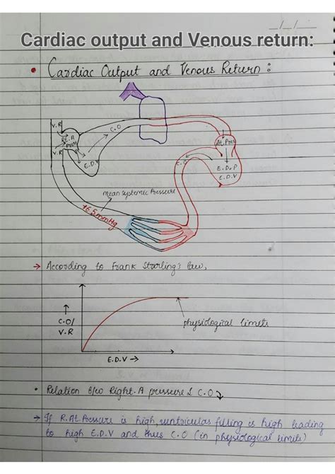 SOLUTION Cardiac Output And Venous Return Notes Dr Najeeb Lecture Detailed With Illustrated