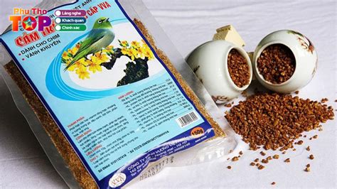 Top A Ch Mua Th C N Cho Chim Ph Th Ng Tin C Y