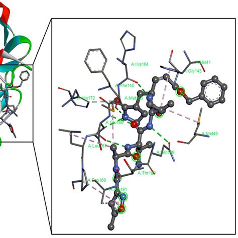 Workflow Of Structure Based Drug Design Sbdd In The Drug Discovery Download Scientific