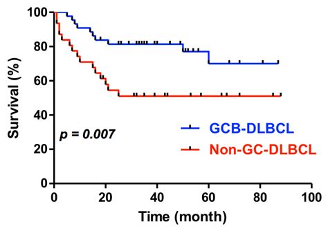determination of the molecular subtypes of diffuse large b cell lymphomas using immunohistochemistry