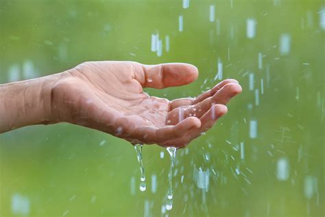 Raindrops