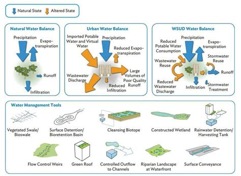 Ecological Analysis Of Natural Systems Image Source A Hoban And Download Scientific Diagram