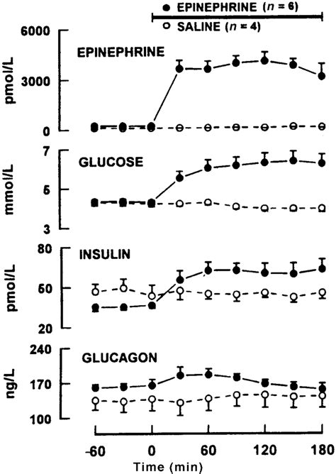 Effects Of Epinephrine On Plasma Glucose Insulin And Glucagon Download Scientific Diagram