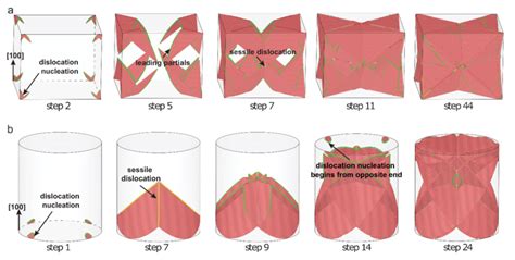Example Dislocation Evolution Paths In Simulated Compressed Cube A